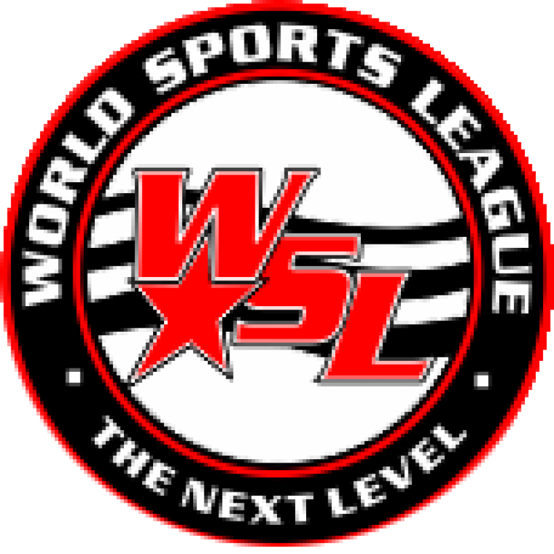 2019 World Sports League (WSL) Black American World Tournament | Mobile Sports Authority